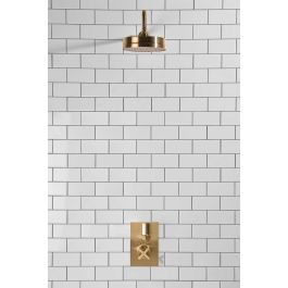 Brushed Brass - Concealed Shower Set - White Lever - 8" Rose
